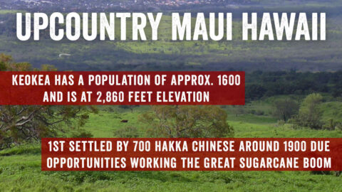 Maui’s Small Town Spotlight: Keokea - UPCOUNTRY MAUI