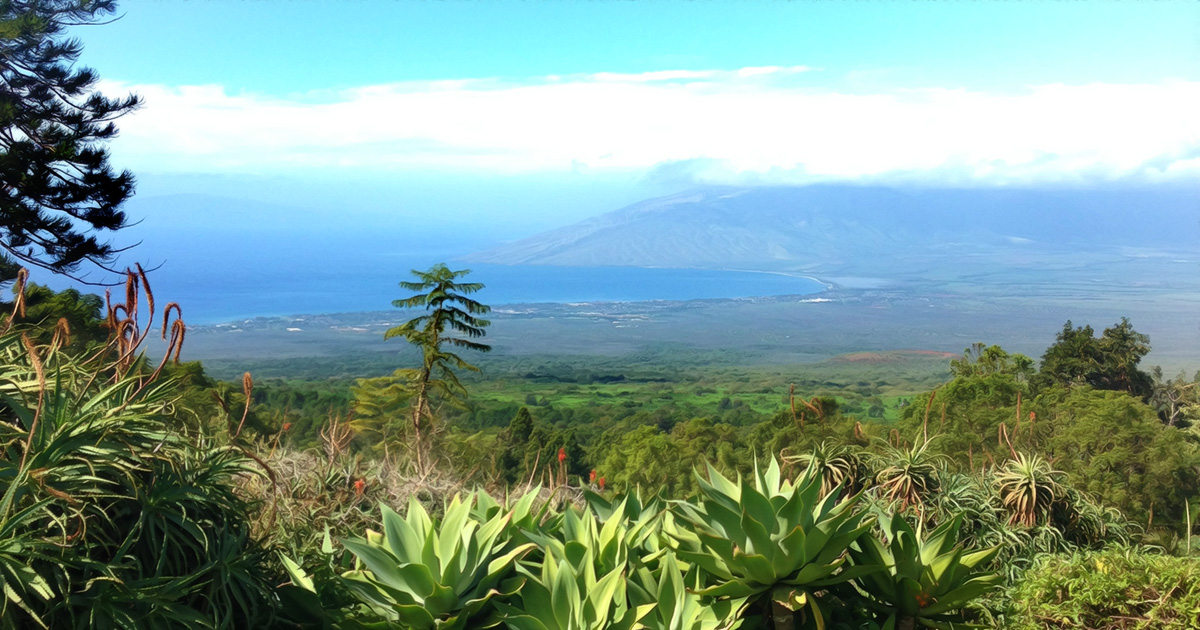 Maui’s Small Town Spotlight: Keokea - UPCOUNTRY MAUI